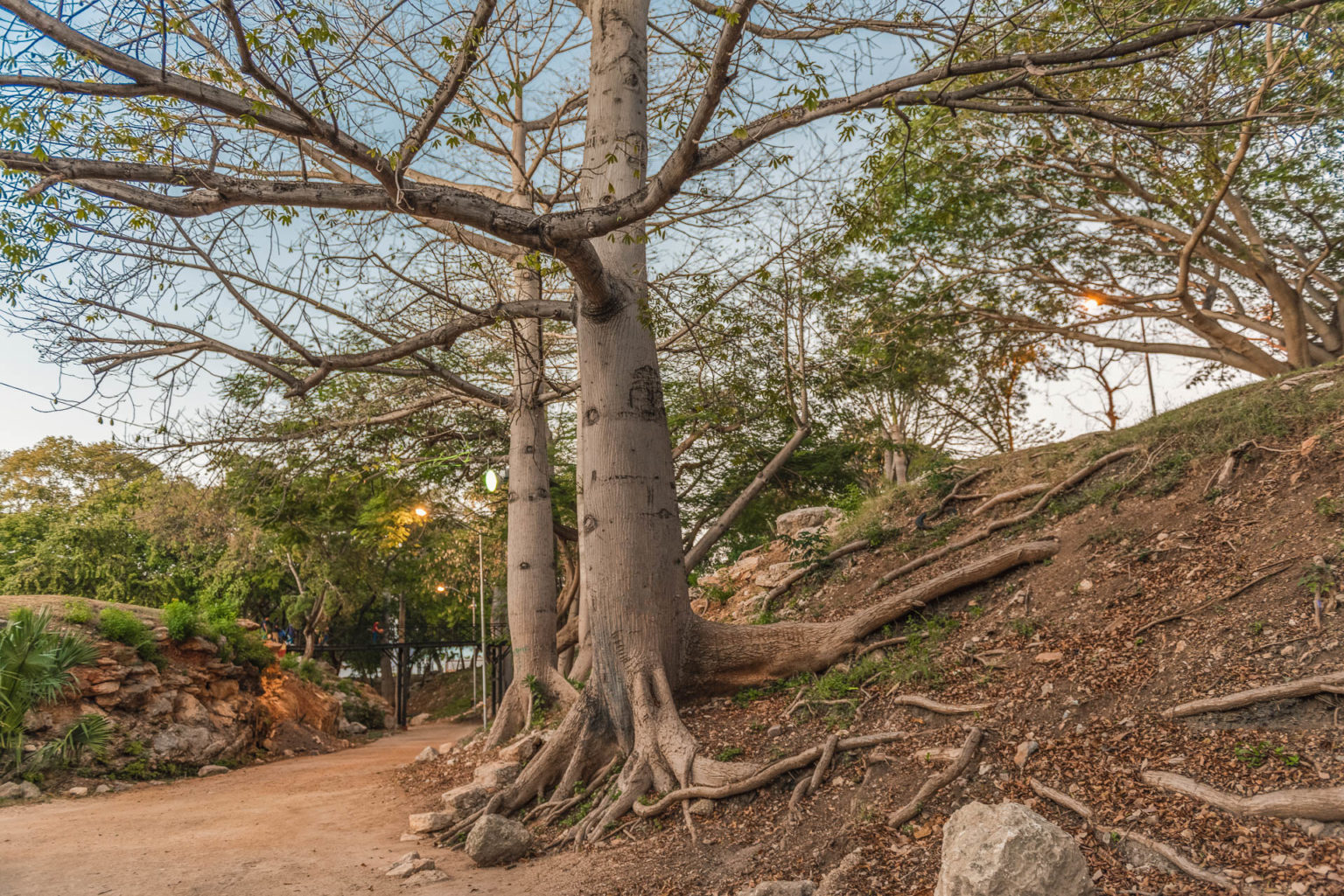 Parque Ecológico del Poniente in Mérida